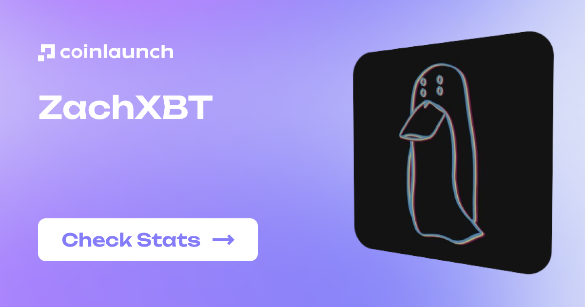 ZachXBT: Statistics, Performance Overview & Supported Projects
