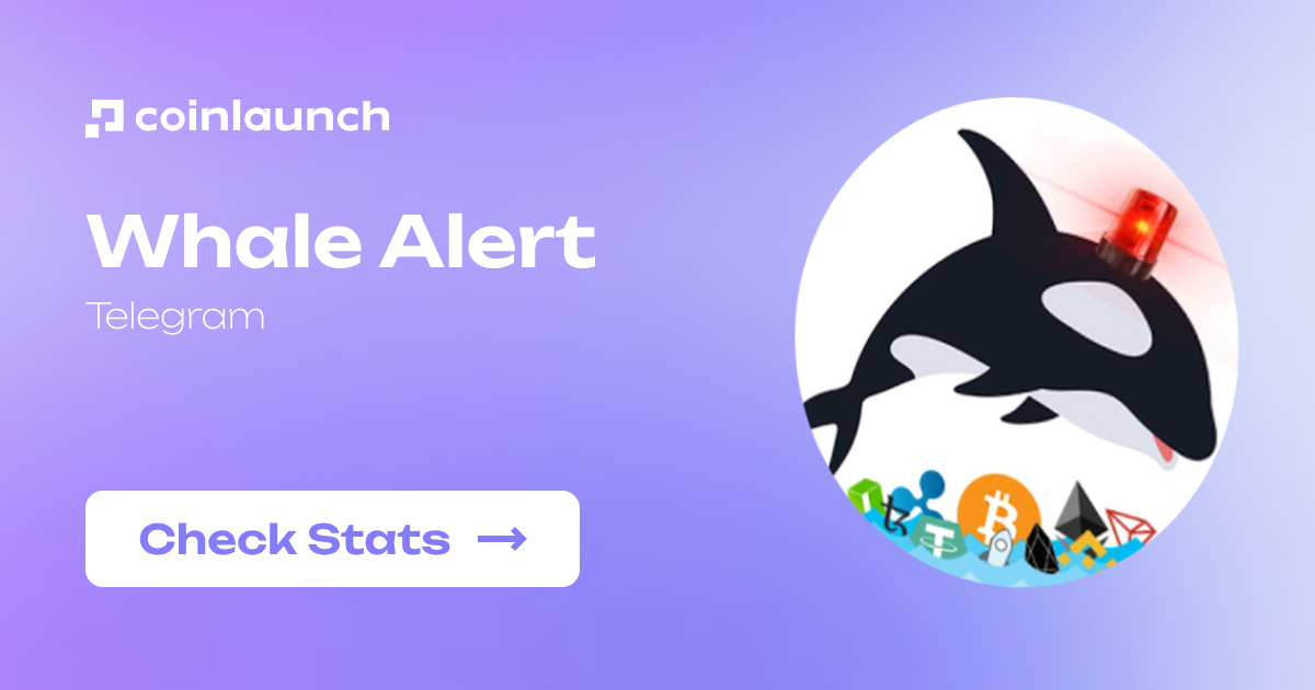 Whale Alert Review: Statistics, Performance Overview & Supported Projects