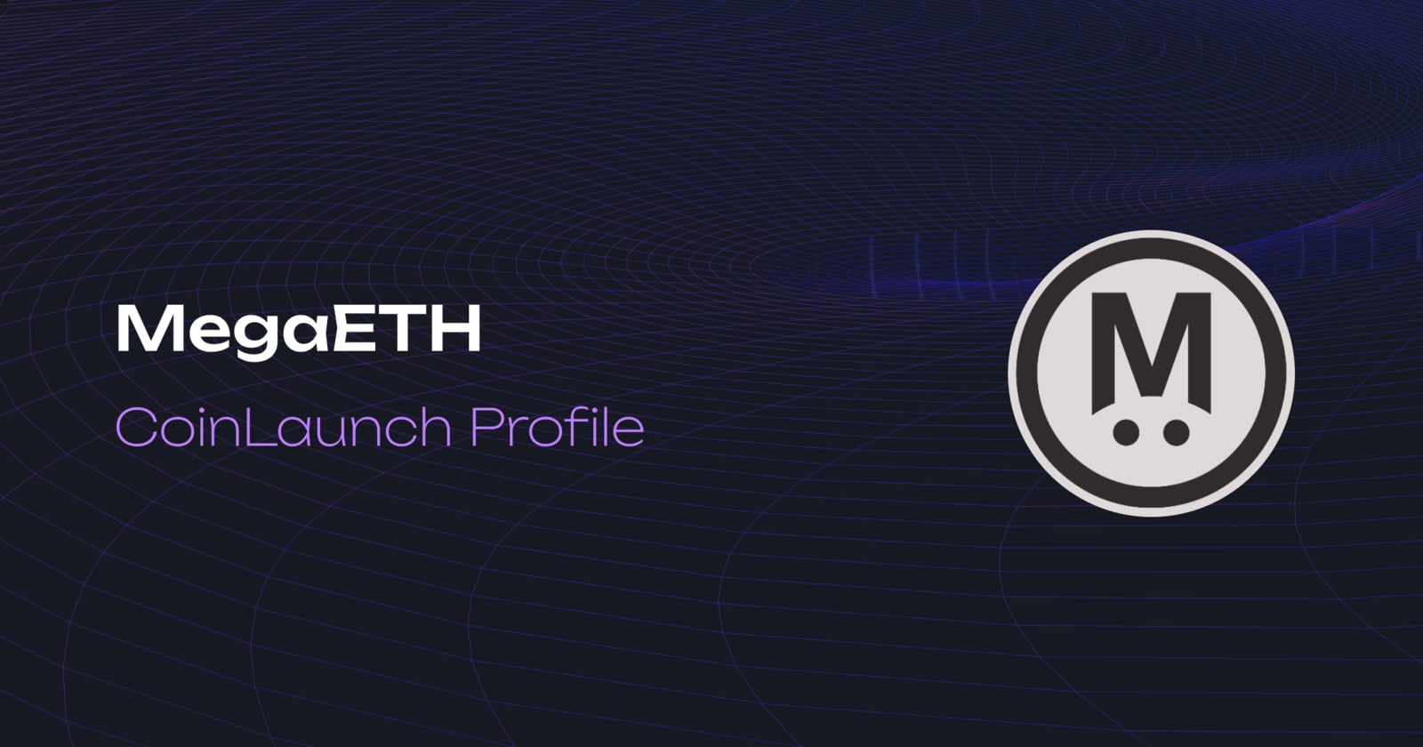 MegaETH Project & Token Analysis | Rating, Review & Stats