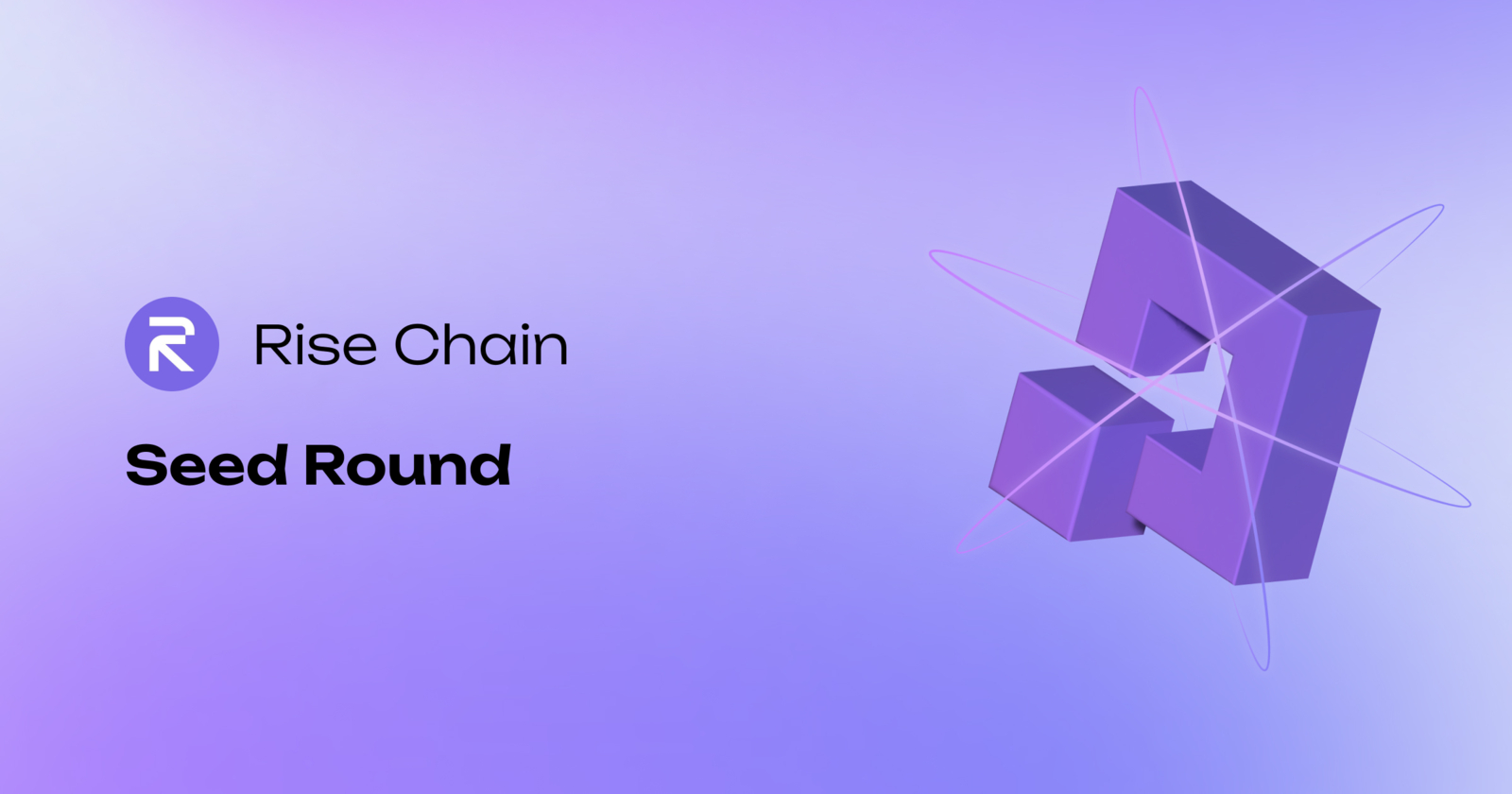 Rise Chain Seed Round | All Info & Stats